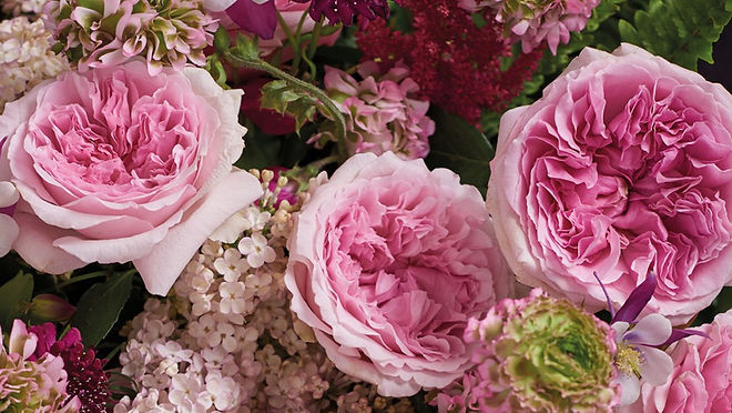 MIRANDA – FLORADEC