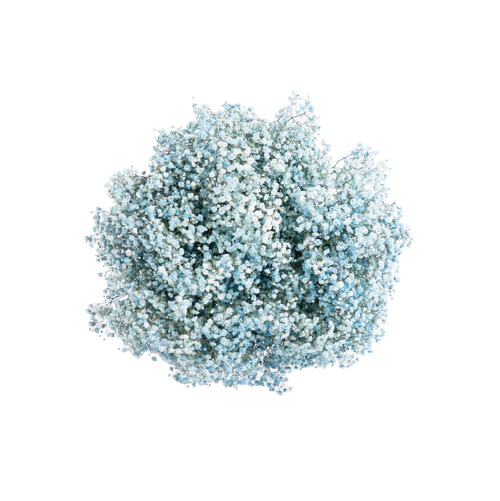 Light Blue – FLORADEC